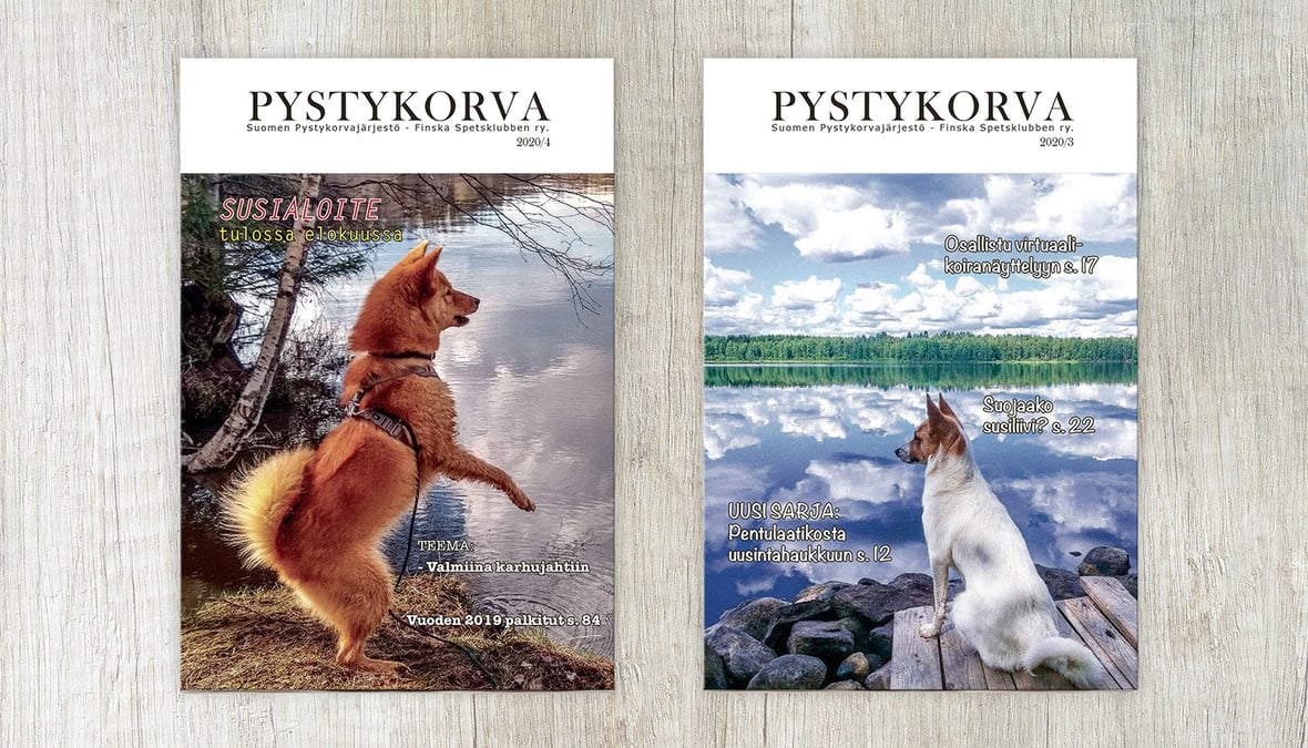 Grano toteutti Suomen Pystykorvajärjestön e-julkaisun